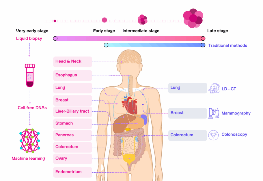 MCED and Traditional Screening: A Comprehensive, Complementary Strategy ...